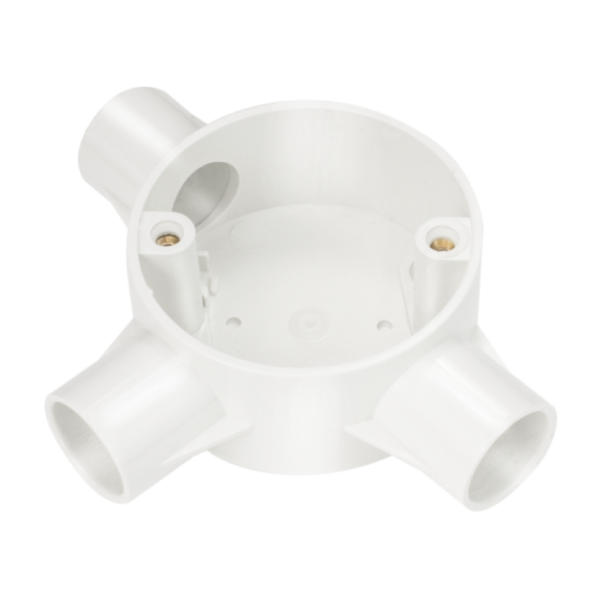 Centaur 20mm Tee Box | Platinum Imports Inc. | Barbados